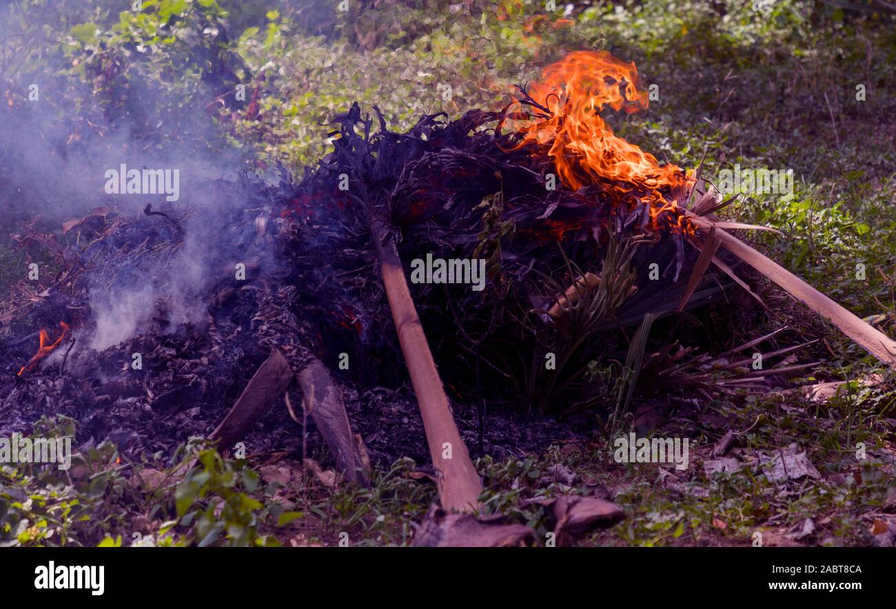 Backyard fire waste hi-res stock photography and images - Alamy