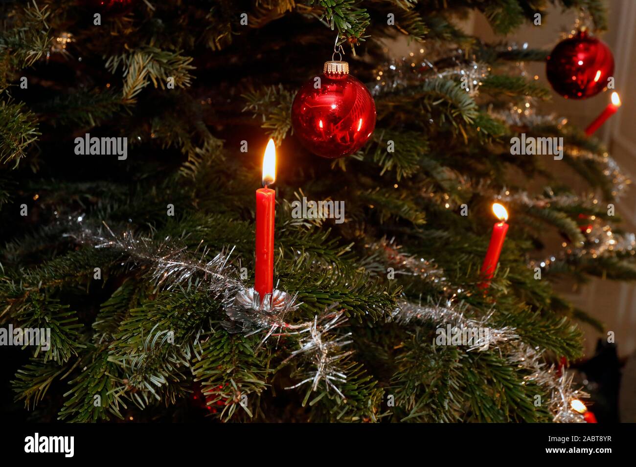 Christmas tree. Geneva. Switzerland Stock Photo - Alamy