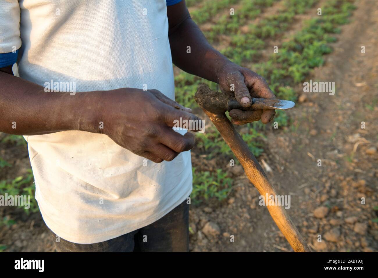 Microfinance client, market farmer in Savanes province, North Togo ...