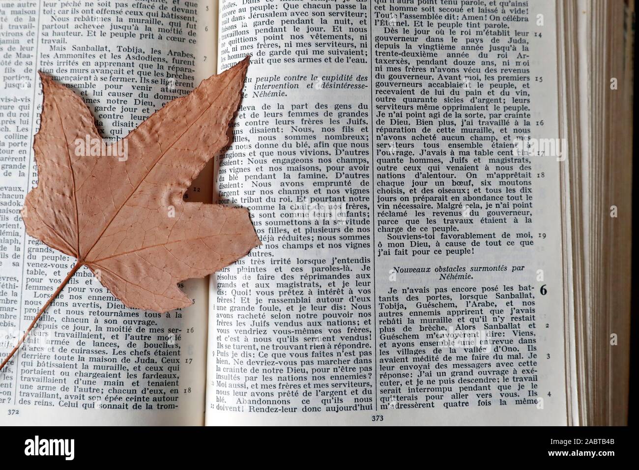 Open old bible with a dry leaf. France Stock Photo - Alamy