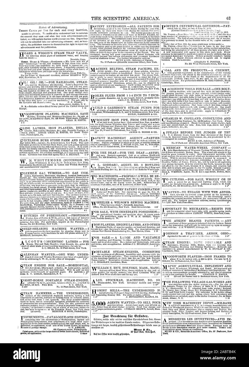 Fiir hi-res stock photography and images - Alamy