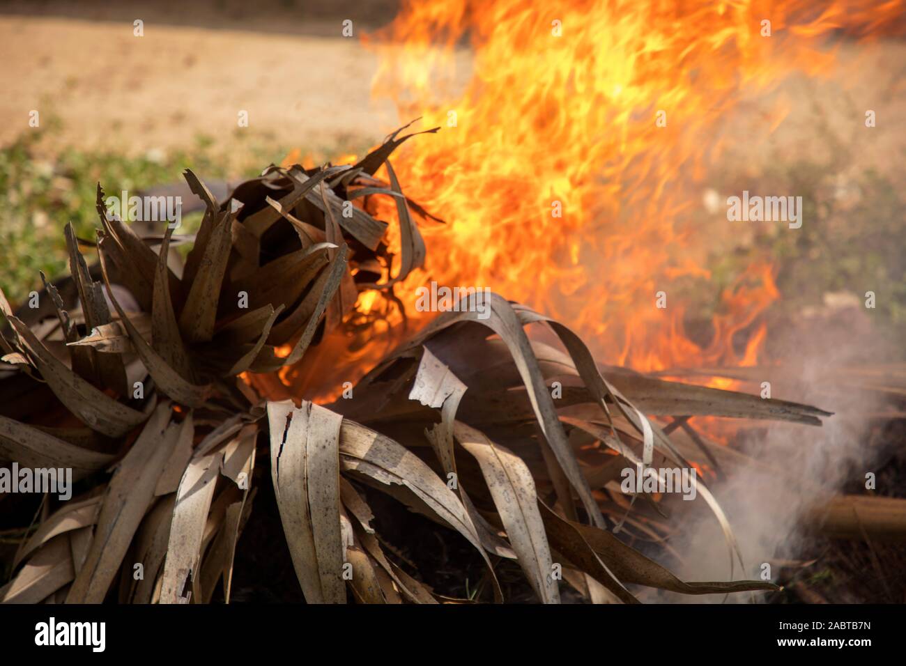Burning dry grass in the garden in spring Stock Photo - Alamy