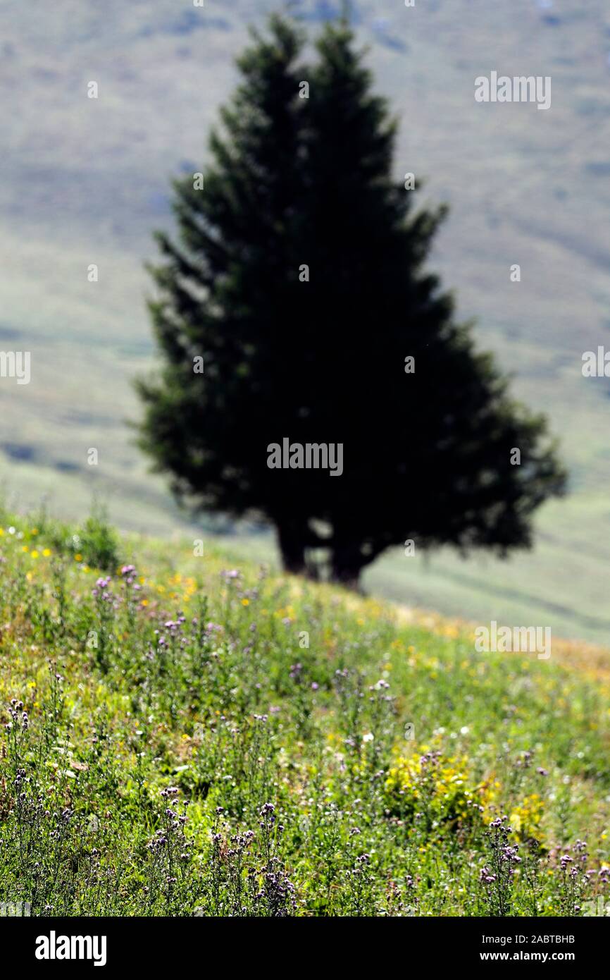 French Alps in summer. Saint Gervais. France Stock Photo - Alamy