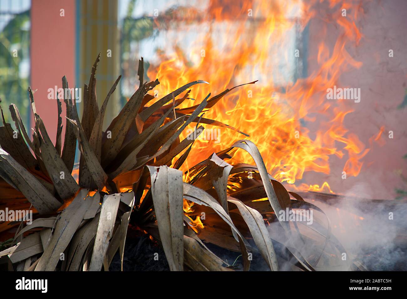 Backyard fire waste hi-res stock photography and images - Alamy