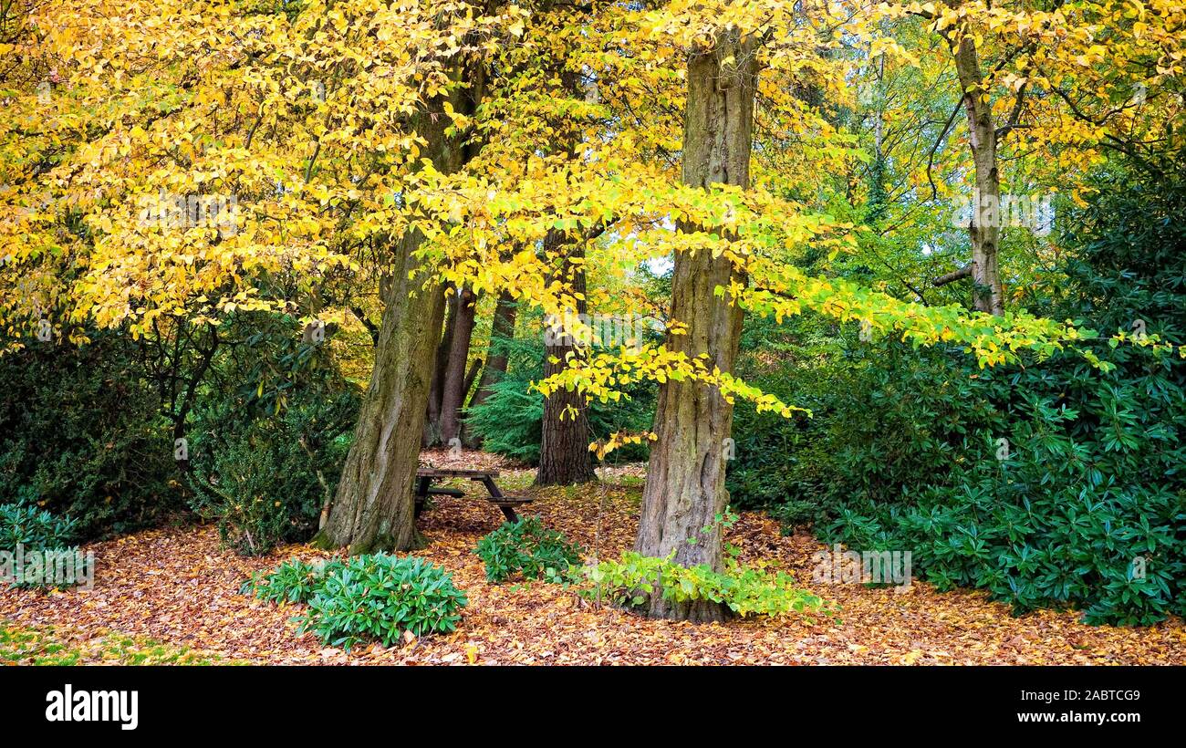 Whitley chapel hi-res stock photography and images - Alamy