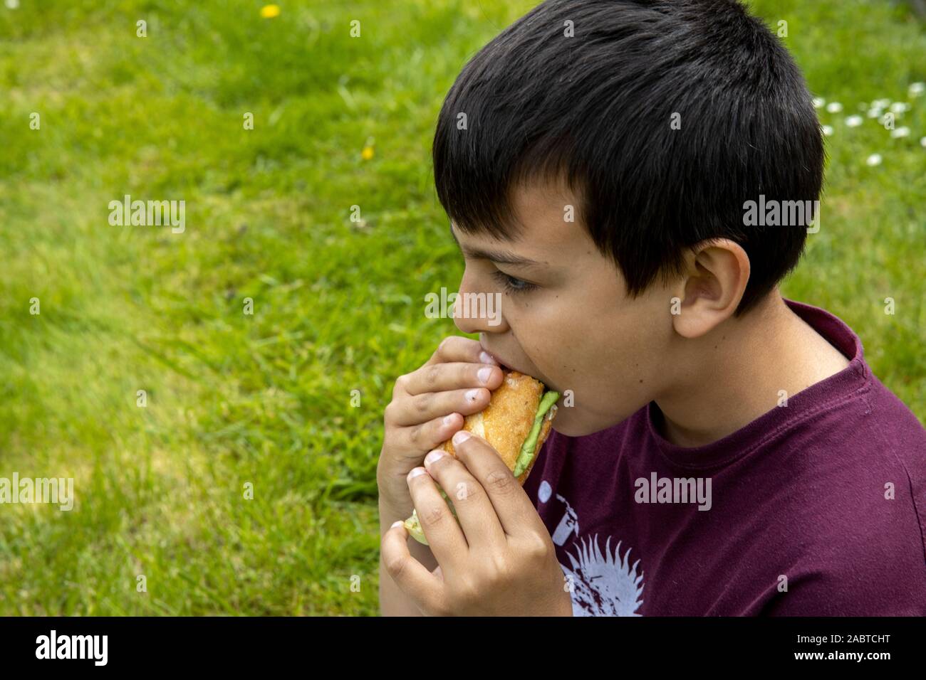 Boy eating a sandwich hi-res stock photography and images - Alamy