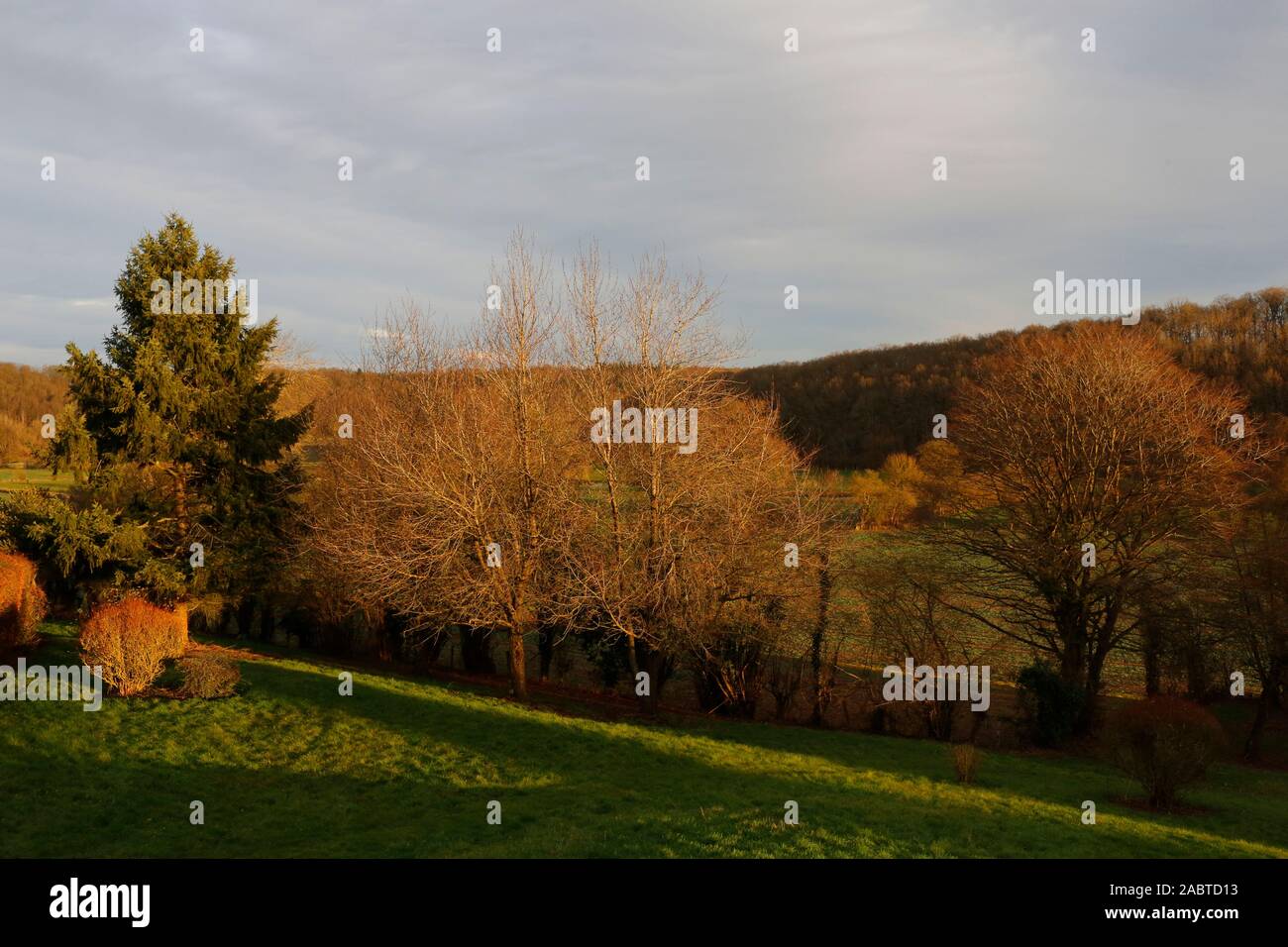 Normandy landscape, Eure, France Stock Photo - Alamy