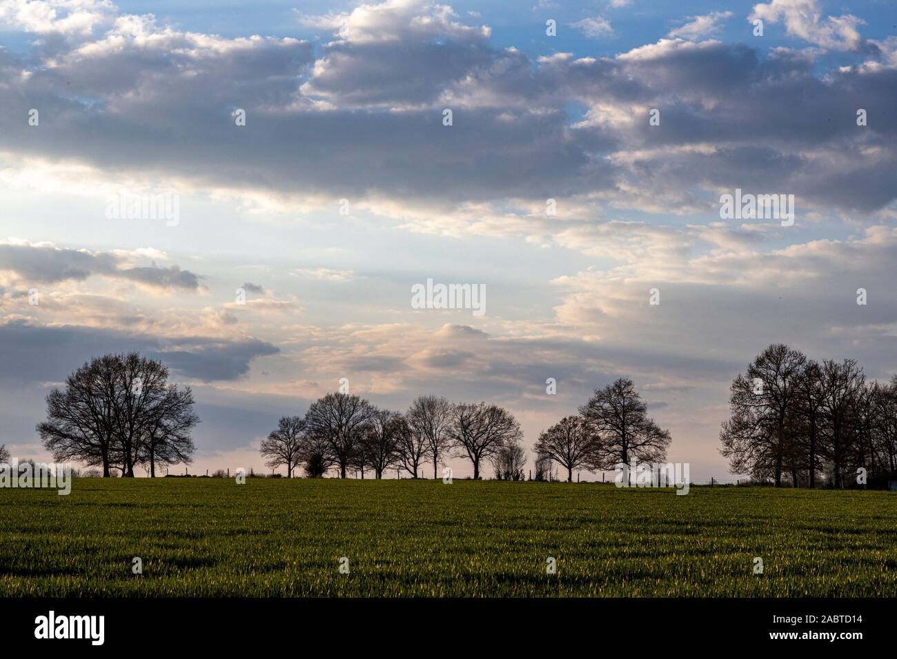 Normandy landscape, Eure, France Stock Photo - Alamy