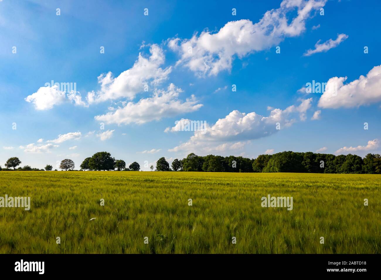 Normandy landscape, Eure, France Stock Photo - Alamy