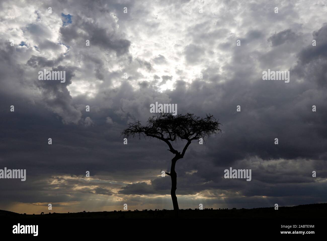 The Masai Mara National Reserve. Kenya Stock Photo - Alamy
