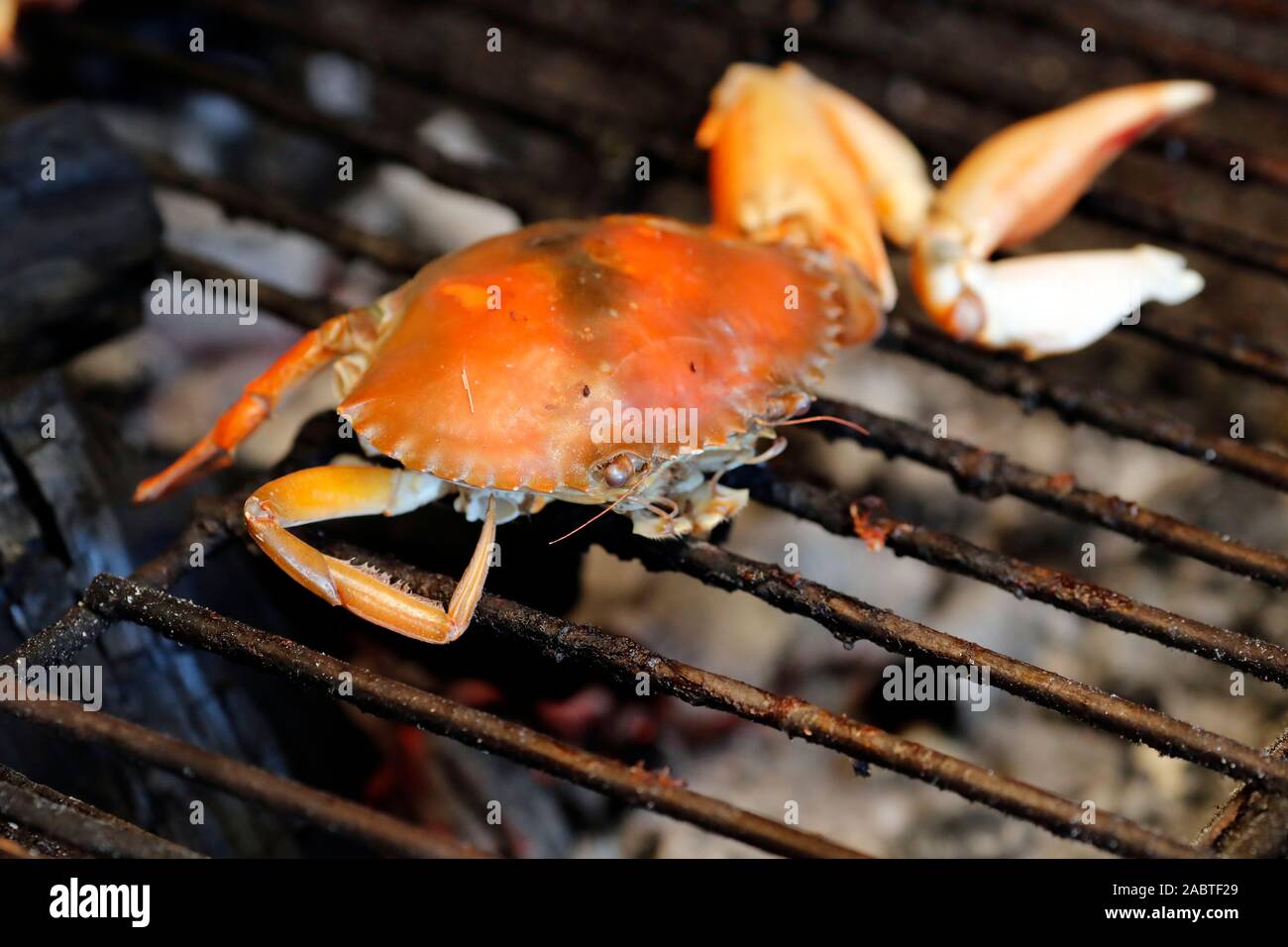 Food stall at Kep crab market. Grilled crab. Kep. Cambodia Stock Photo ...