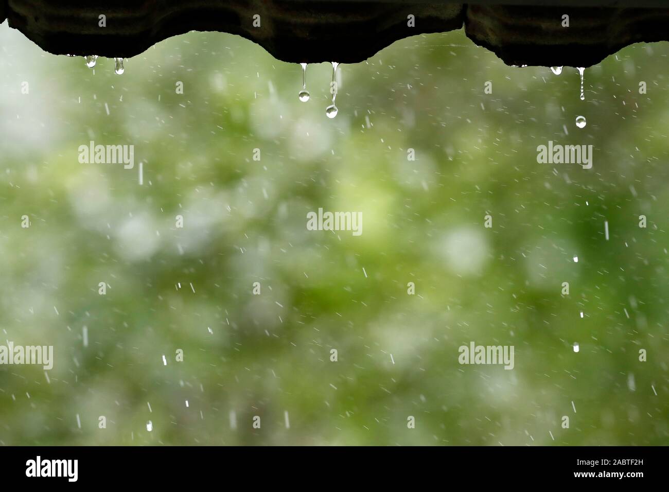 Monsoon heavy rainfall. Kep. Cambodia Stock Photo - Alamy
