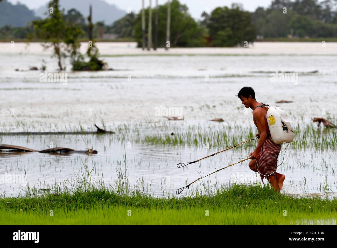 Peche electrique hi-res stock photography and images - Alamy