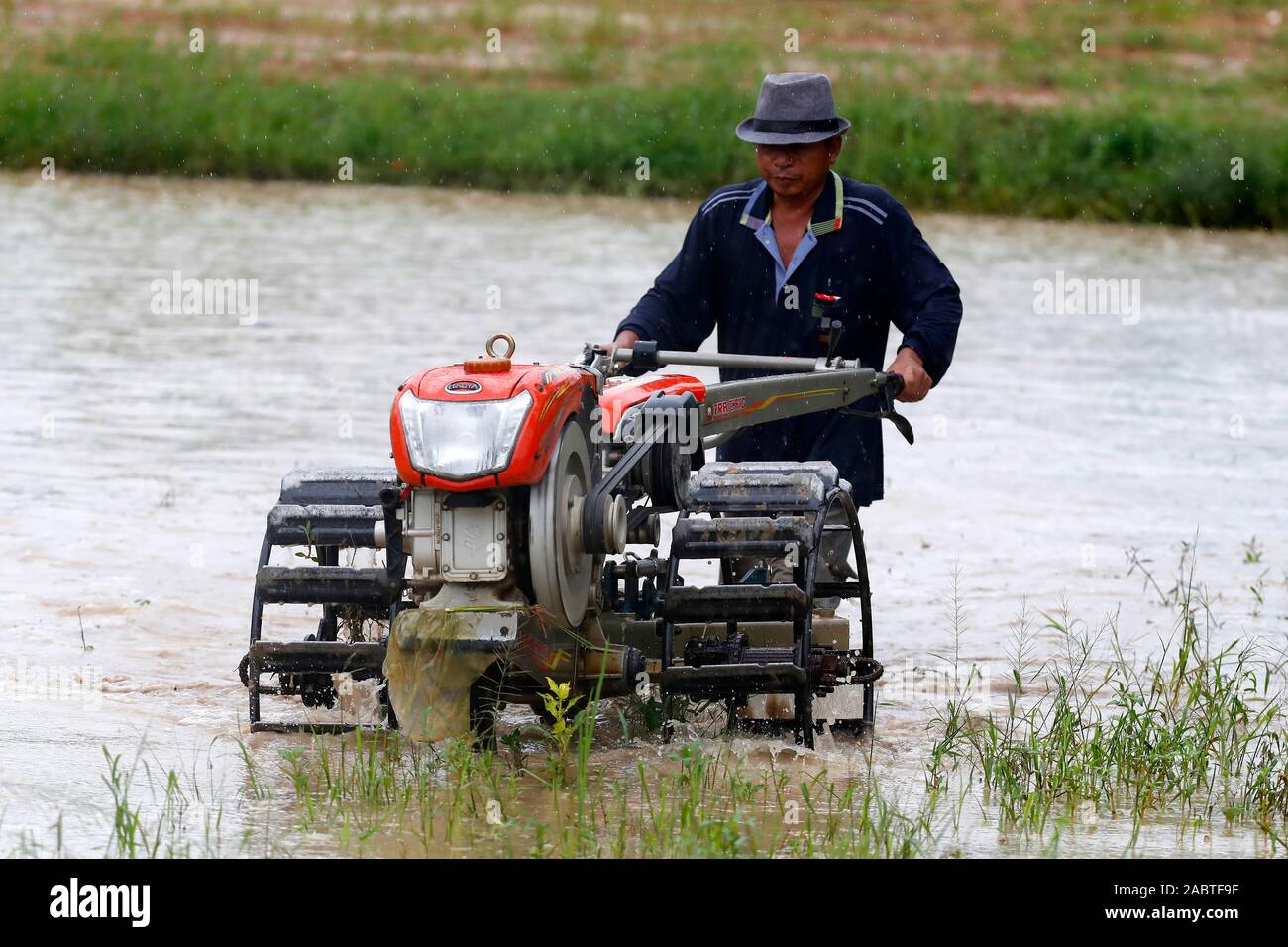 Asian farmer plowing rice field with a tractor. Kep. Cambodia Stock ...