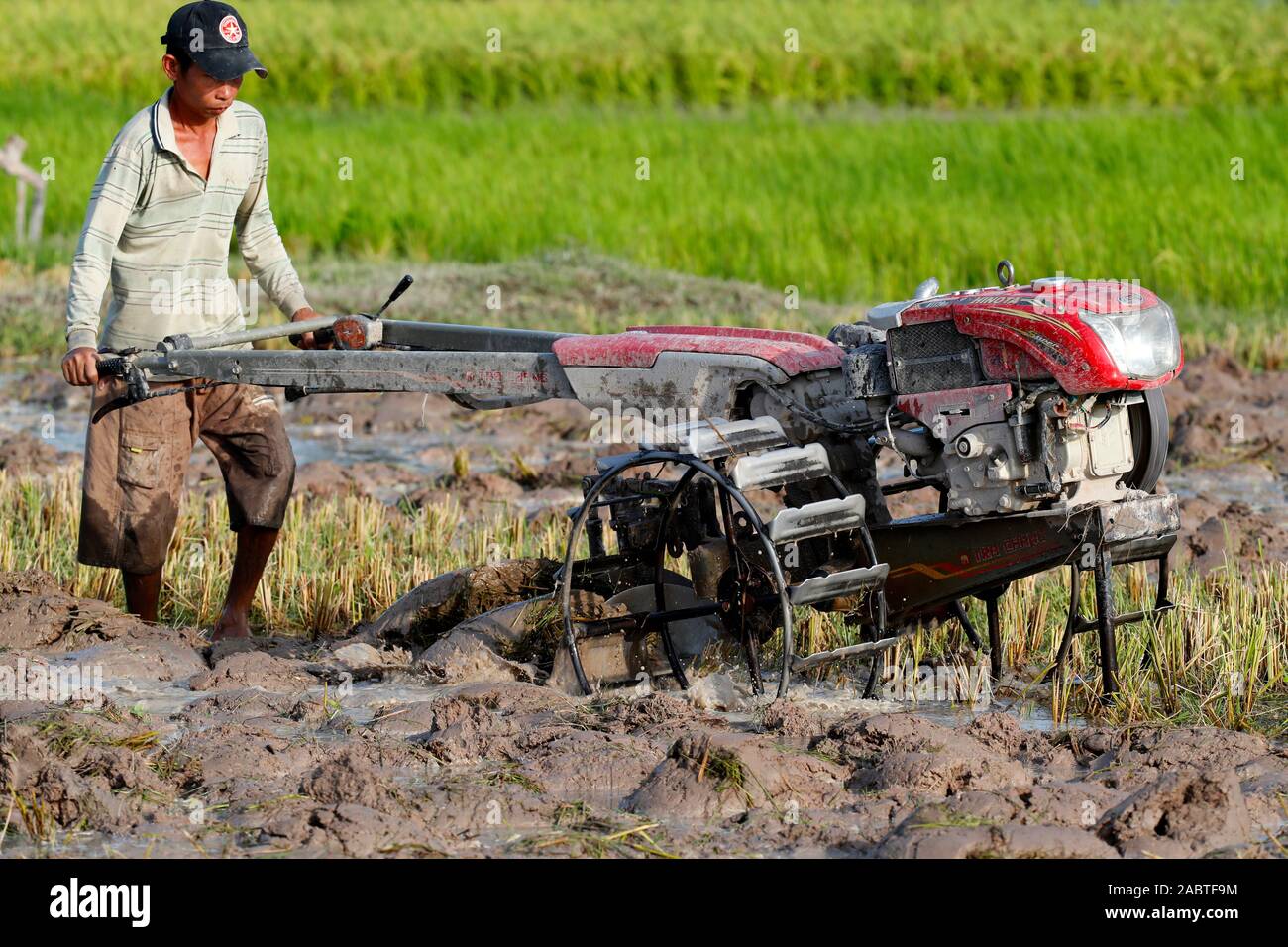 Plowing rice field hi-res stock photography and images - Alamy