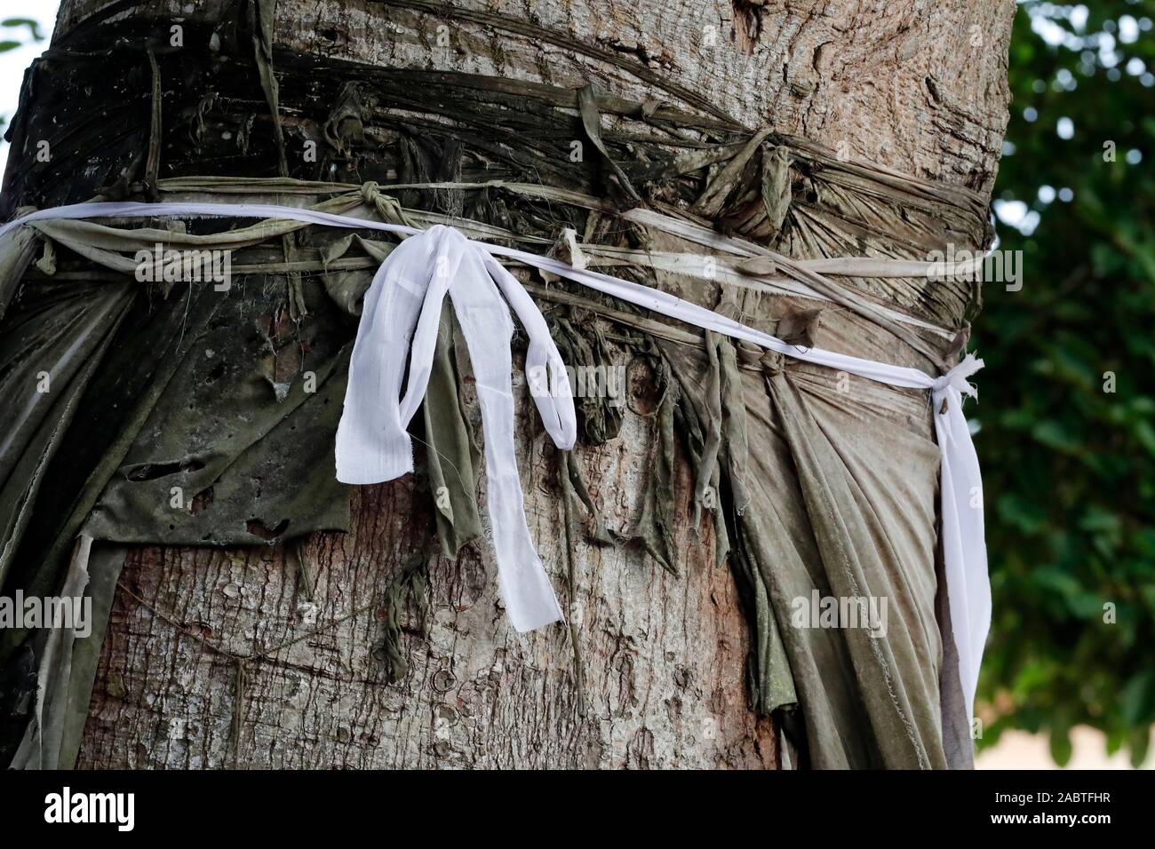 Voodoo sacred tree. Togoville. Togo Stock Photo - Alamy