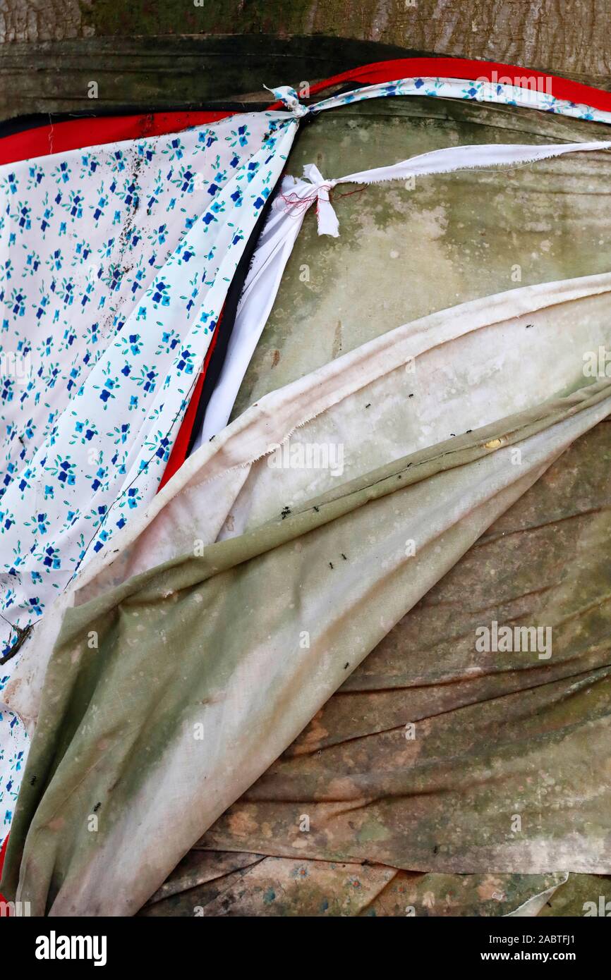 Voodoo Sacred Tree High Resolution Stock Photography and Images - Alamy