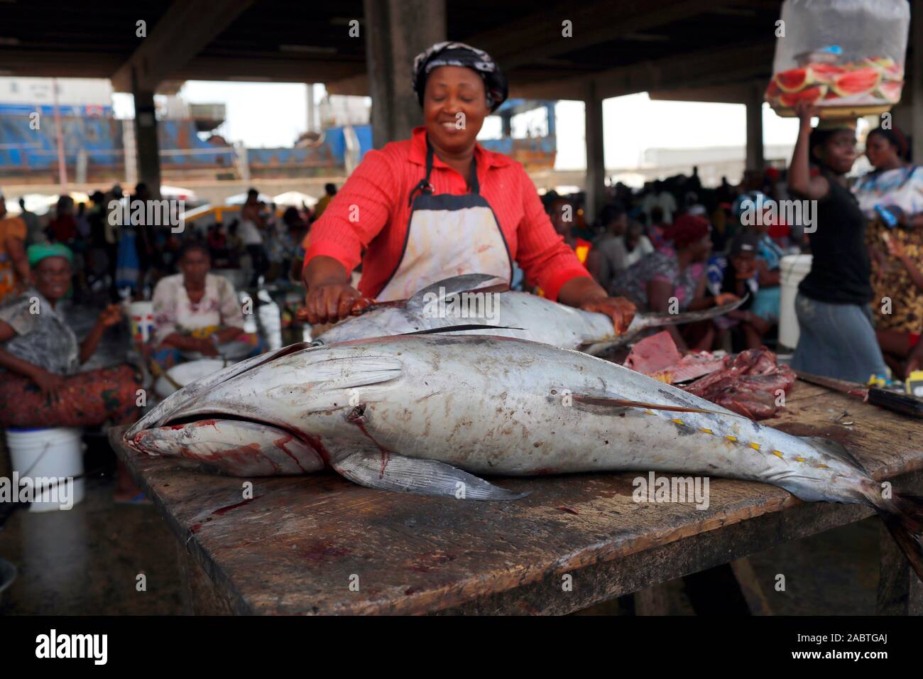 Port of Lome. Fish market. Tuna fish. Togo Stock Photo - Alamy