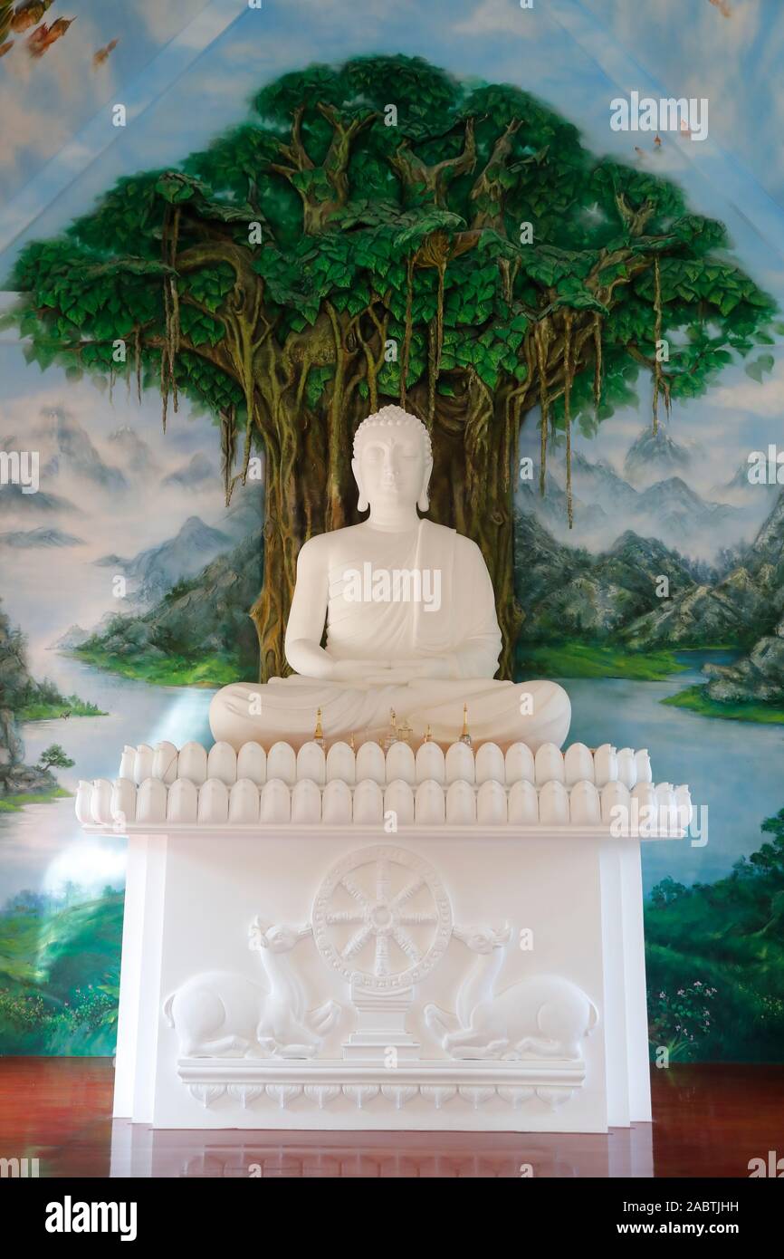Gautama Buddha Bodhi Tree High Resolution Stock Photography and Images ...
