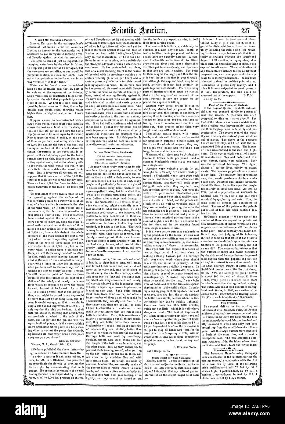 Emerging fish Black and White Stock Photos & Images - Alamy