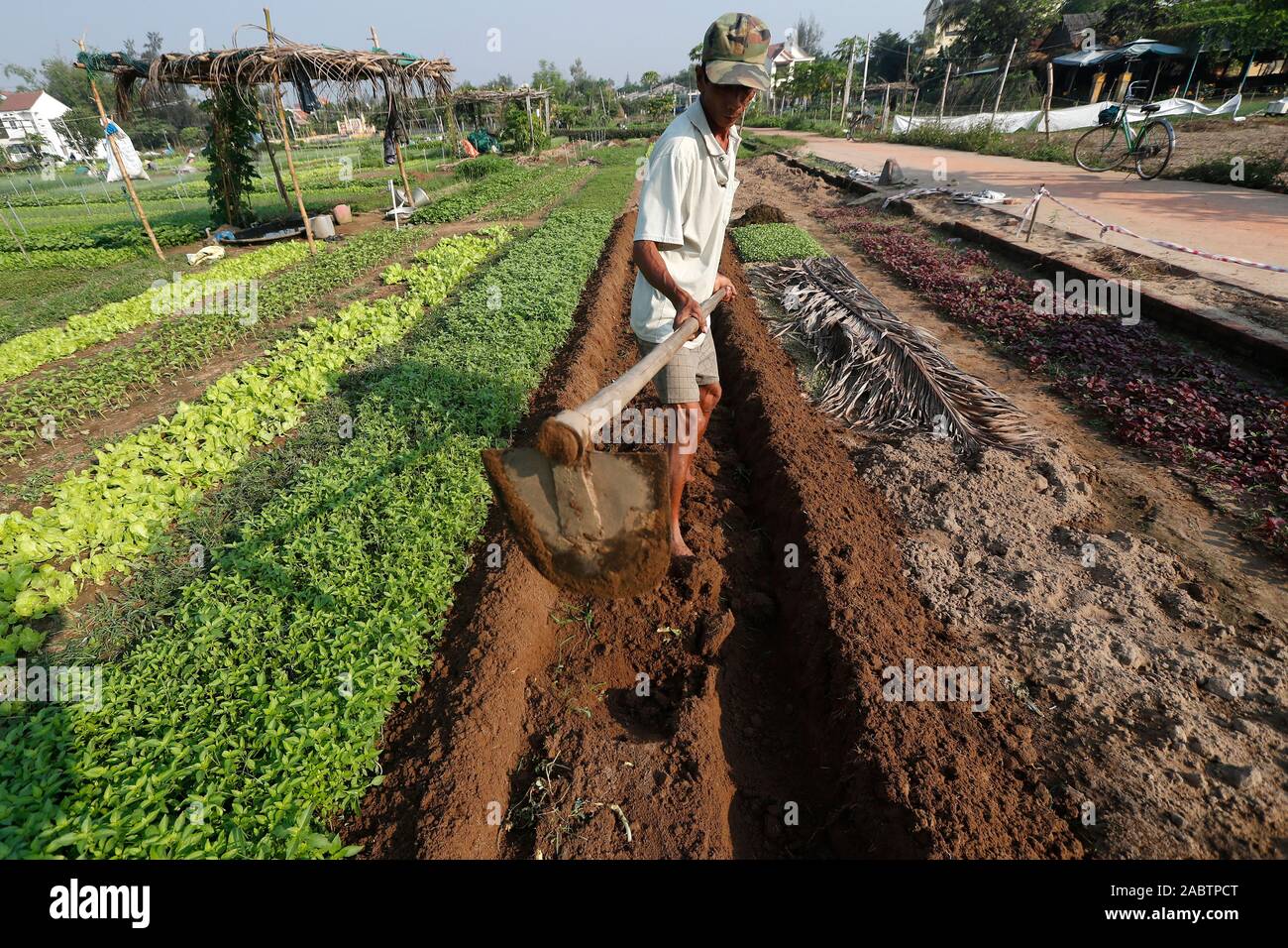 Farmer digging hi-res stock photography and images - Alamy