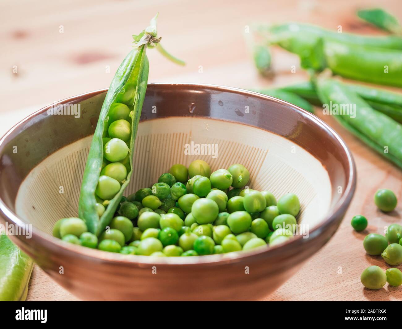 fresh green peas, just harvest. close up view of opened pod. spring ...