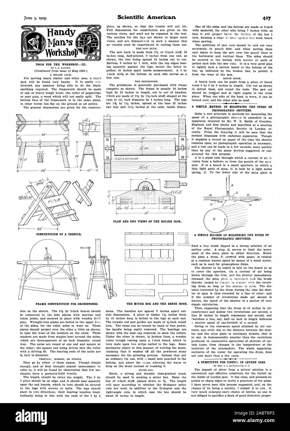 Maws hi-res stock photography and images - Alamy