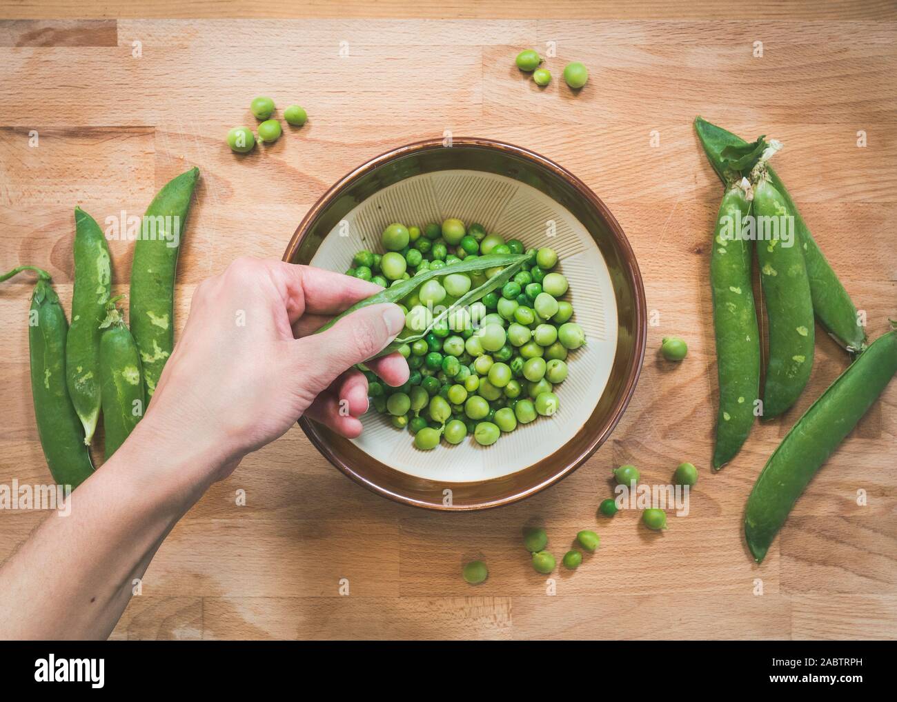fresh green peas, just harvest. close up view of opened pod. spring ...