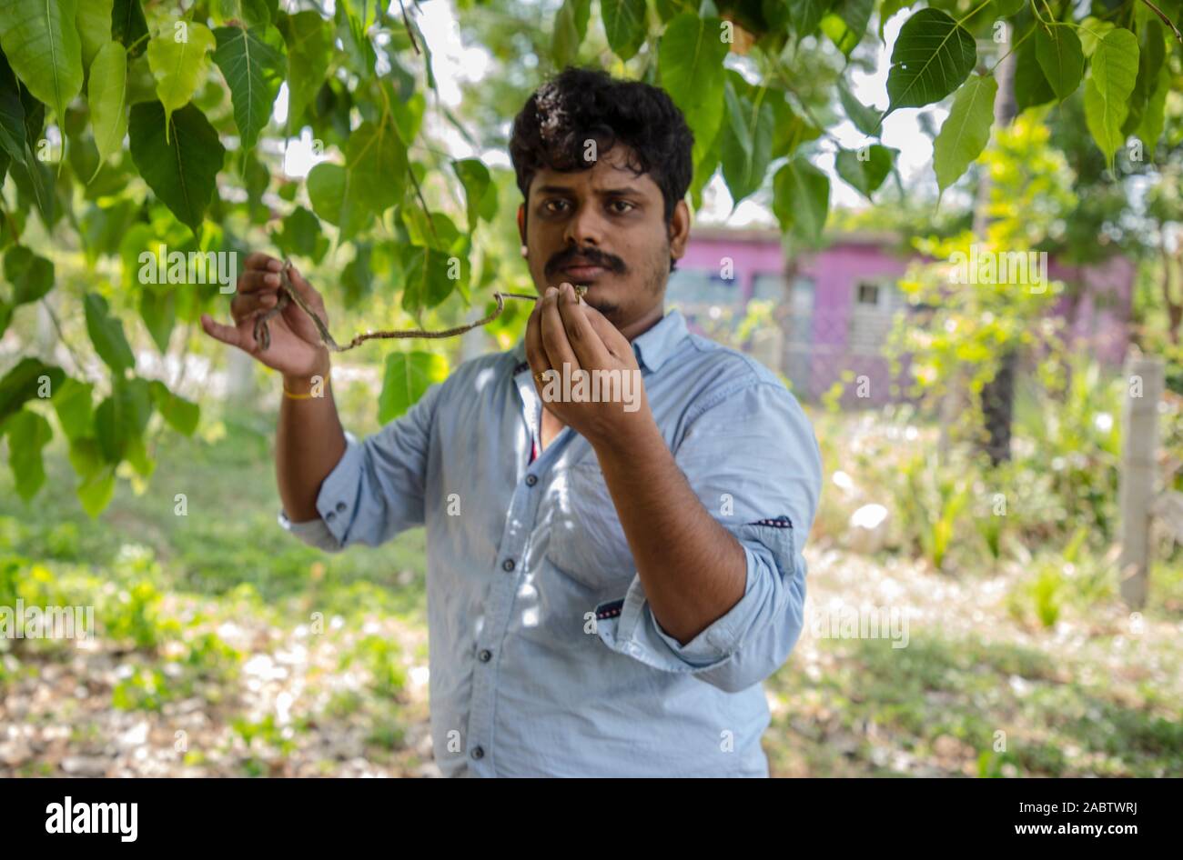Man holding dead snake hi-res stock photography and images - Alamy