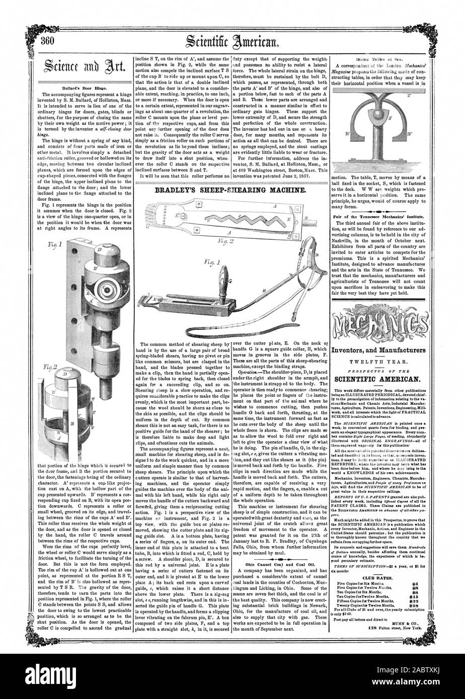Sheep Shearing Diagram