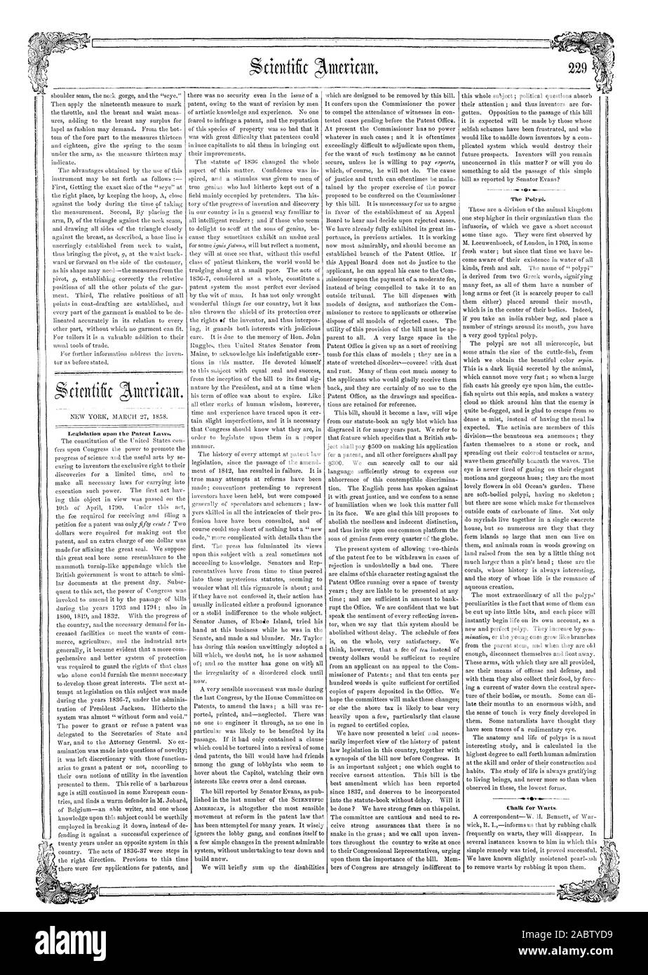 shoulder seam the neck gorge and the 'scye.' Legislation upon tlte ...