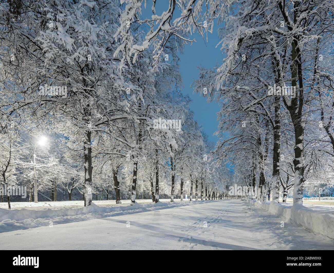 The snow alley of the city park with illumination at night after heavy ...