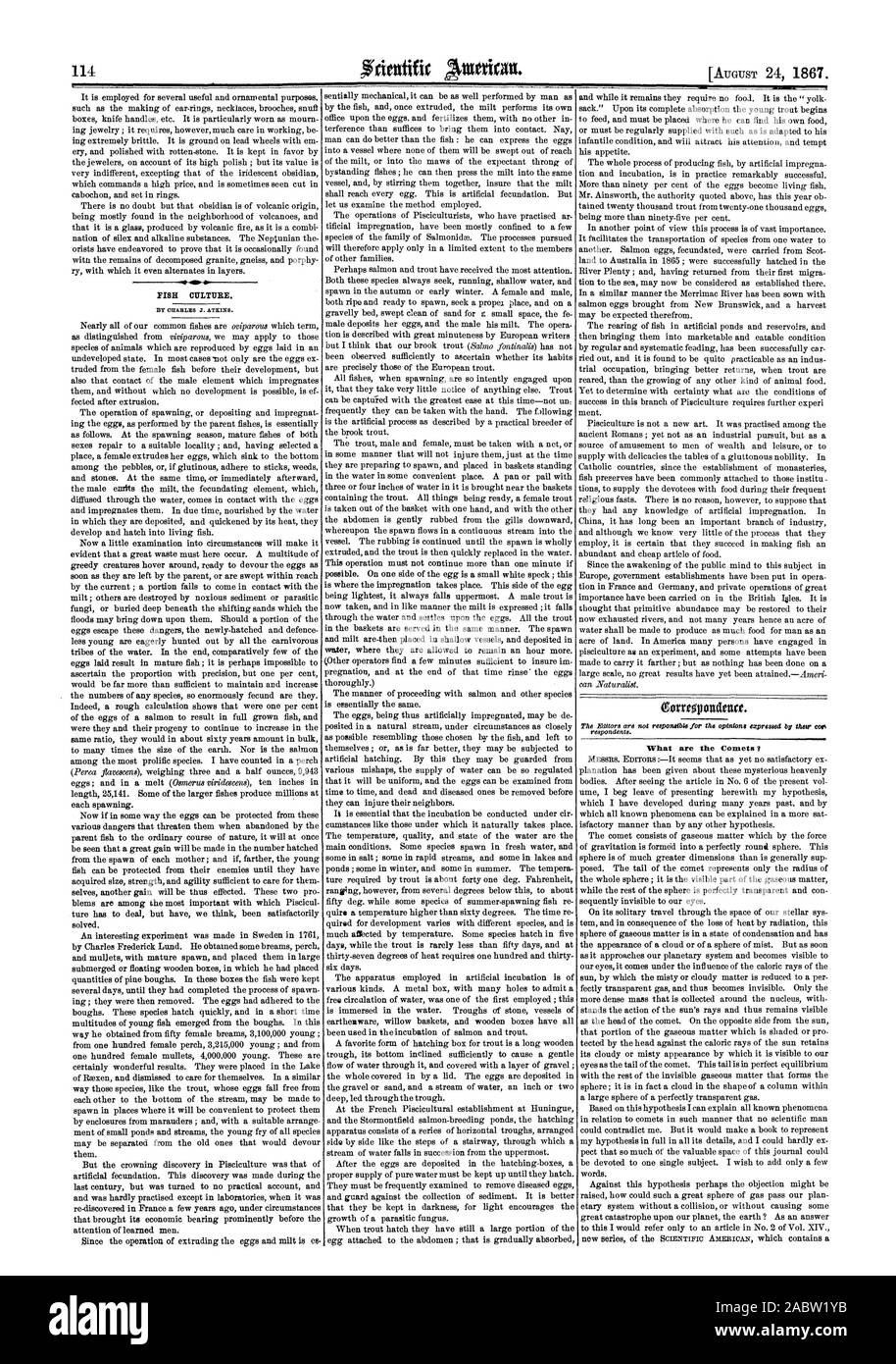 Emerging fish Black and White Stock Photos & Images - Alamy