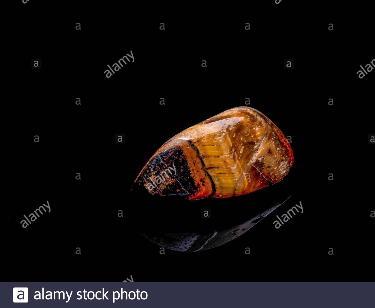 Orbicular Jasper Mineral Stone Stock Photos & Orbicular Jasper Mineral ...