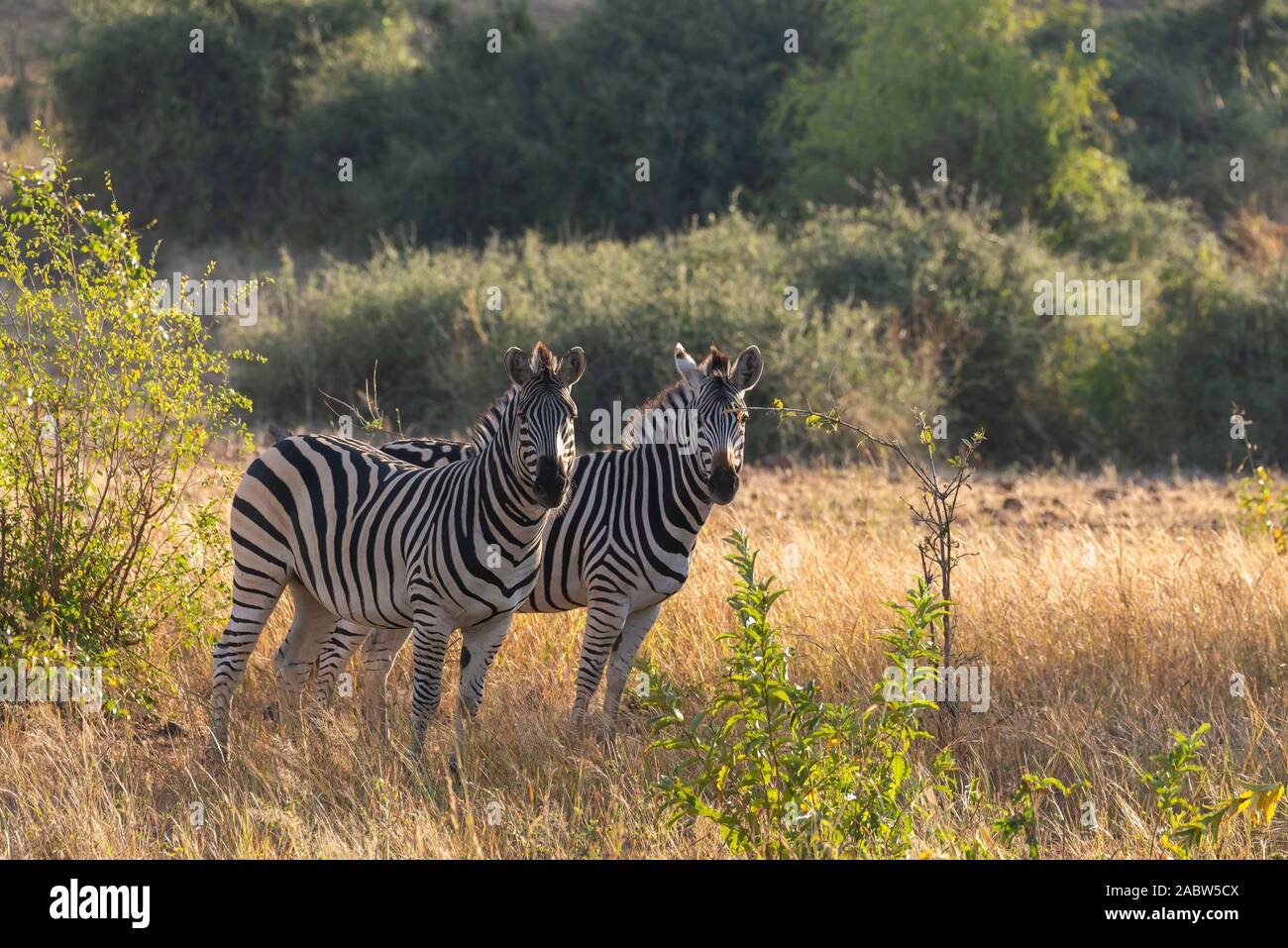 Rwanda sand hi-res stock photography and images - Alamy