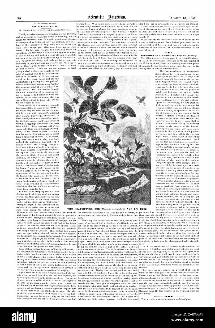 scientific american, 1870-08-13 Stock Photo - Alamy