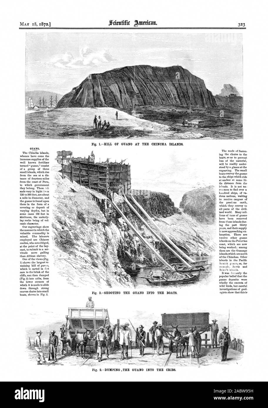 Chincha islands guano hi-res stock photography and images - Alamy