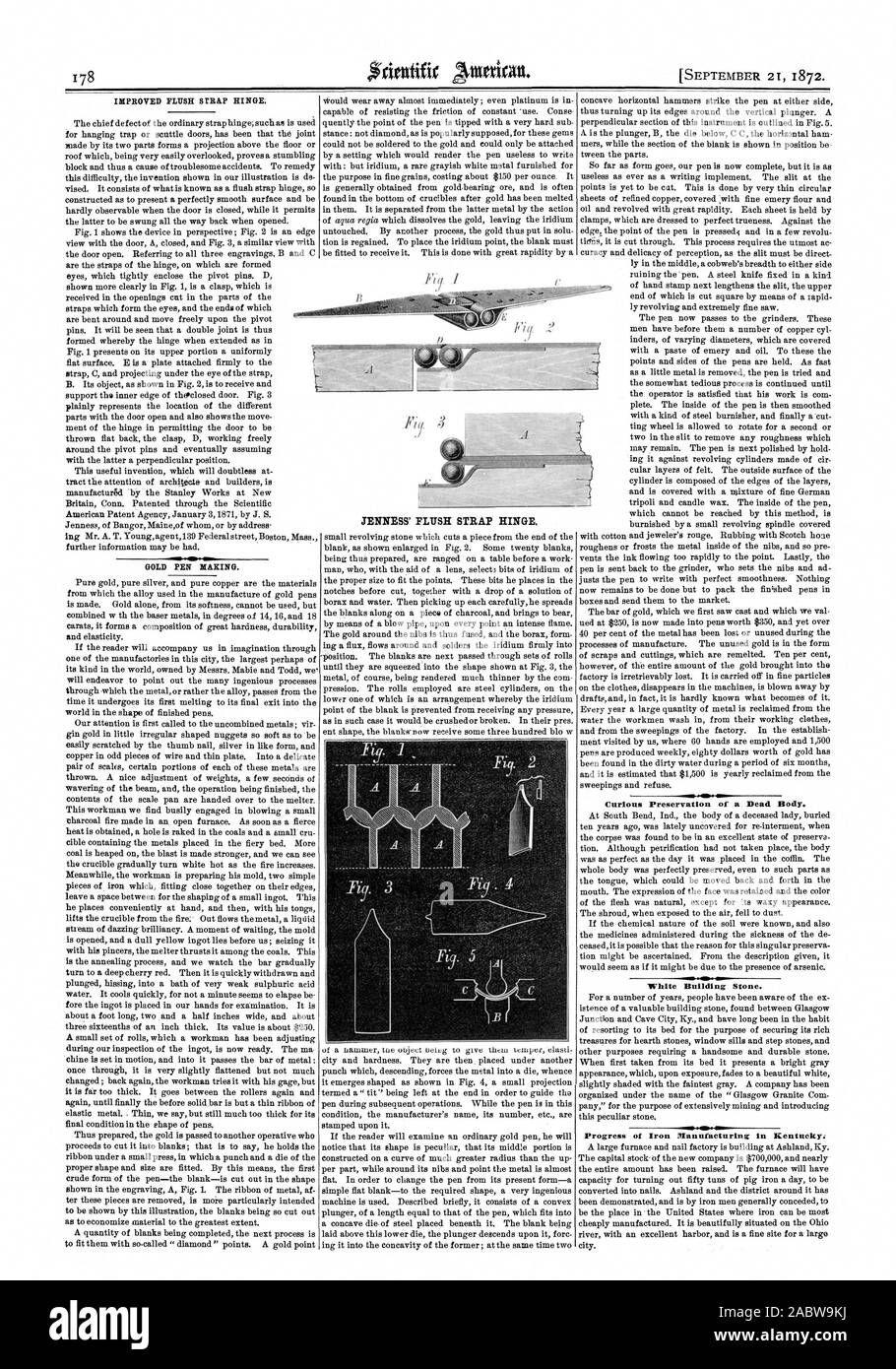 Improved flush strap hinge hi-res stock photography and images - Alamy