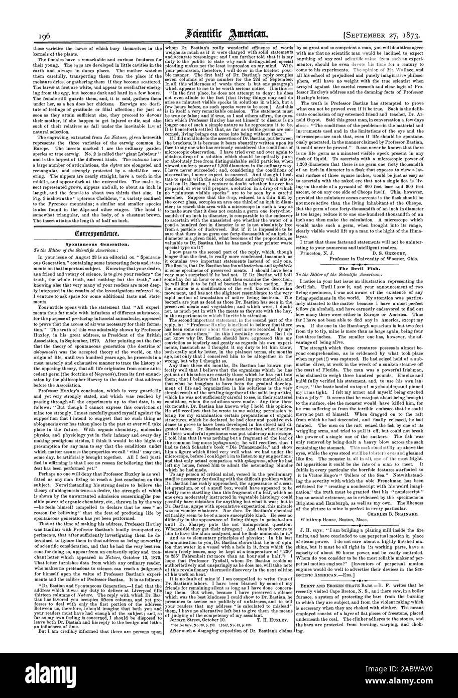 Rhe devil fish hi-res stock photography and images - Alamy