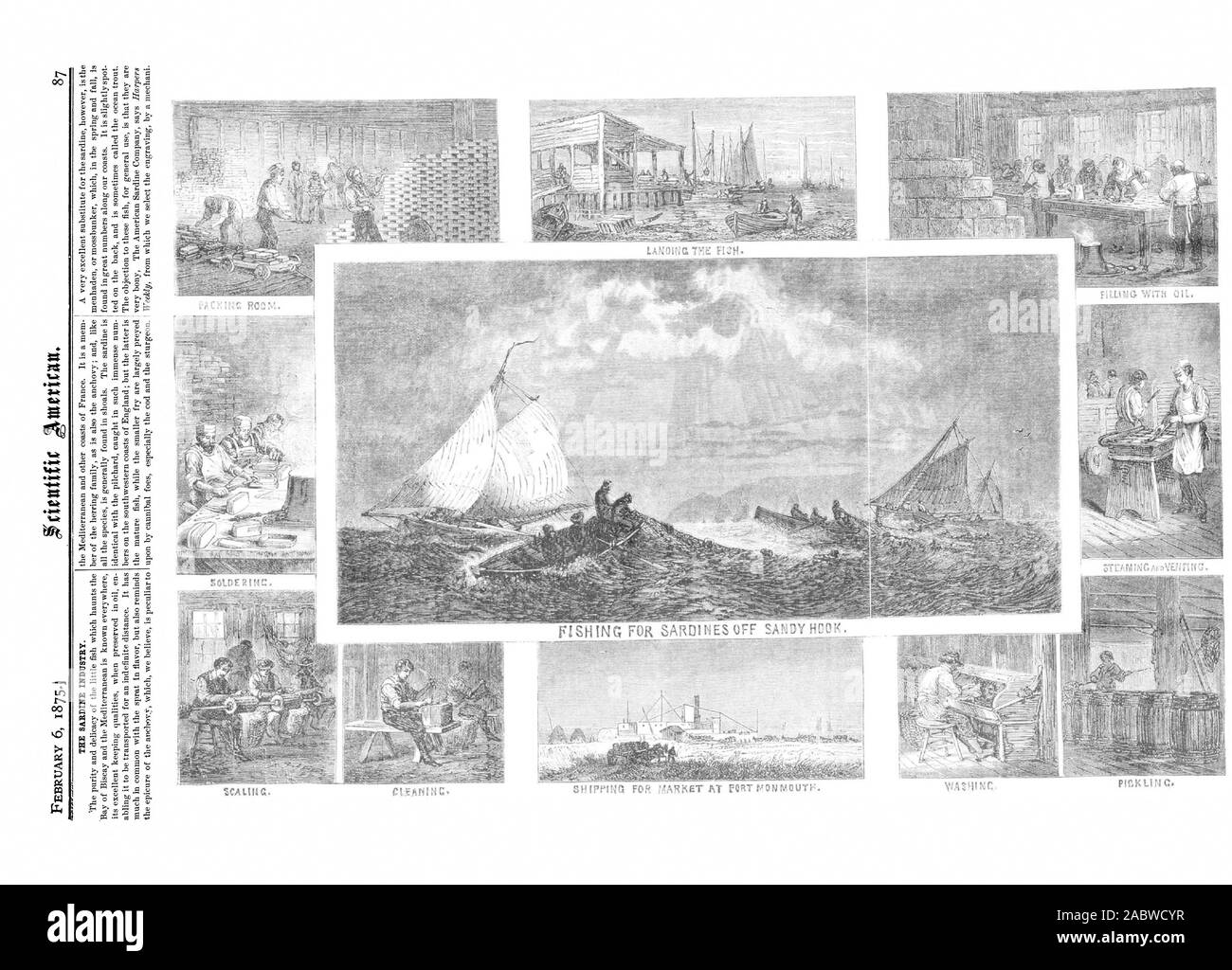 THE SARDINE INDUSTRY., scientific american, 1875-02-06 Stock Photo - Alamy
