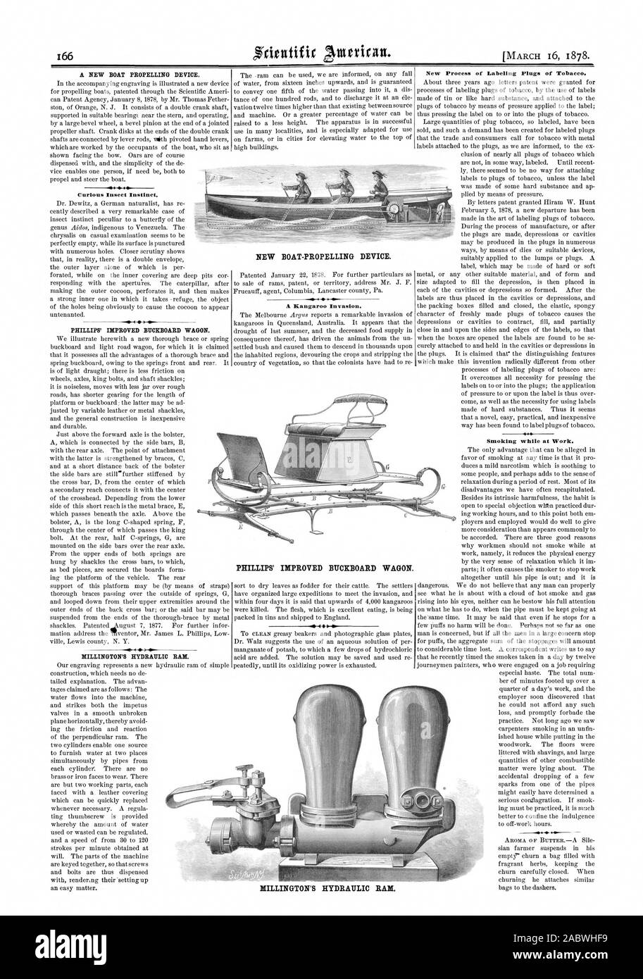 A NEW BOAT PROPELLING DEVICE. Curious Insect Instinct. PHILLIPS ...