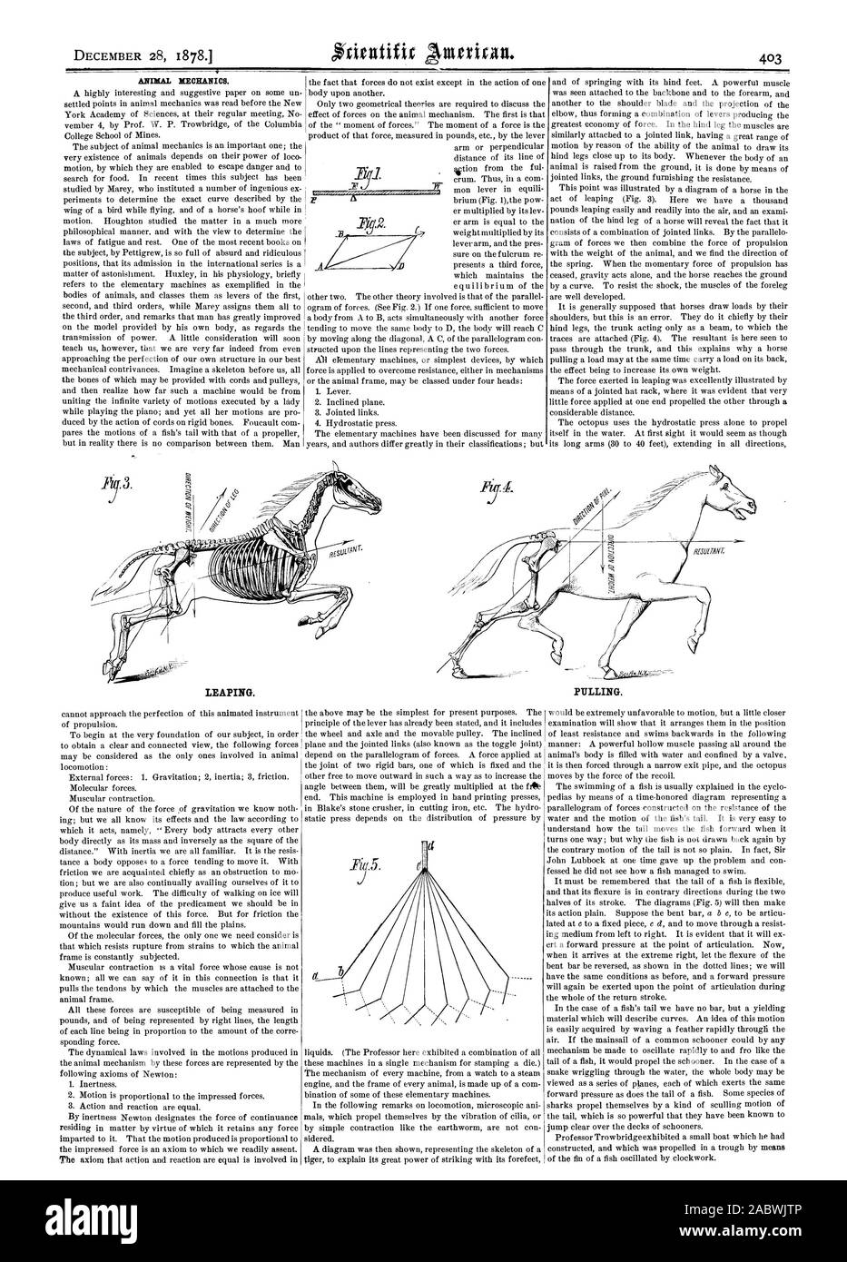 Animal mechanics hi-res stock photography and images - Alamy