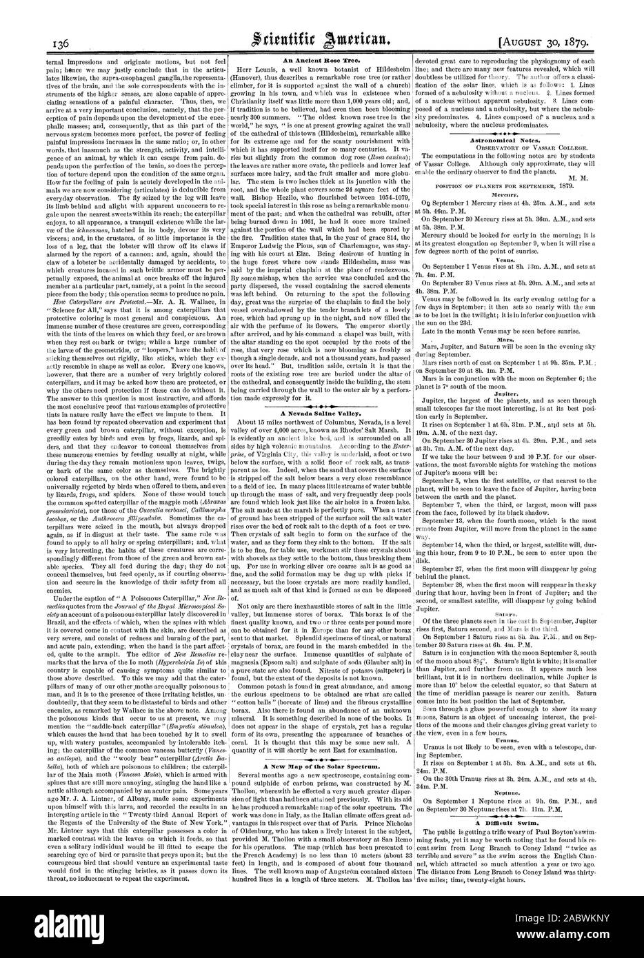 An Ancient Rose Tree. A Nevada Saline Valley. A New Map of the Solar ...