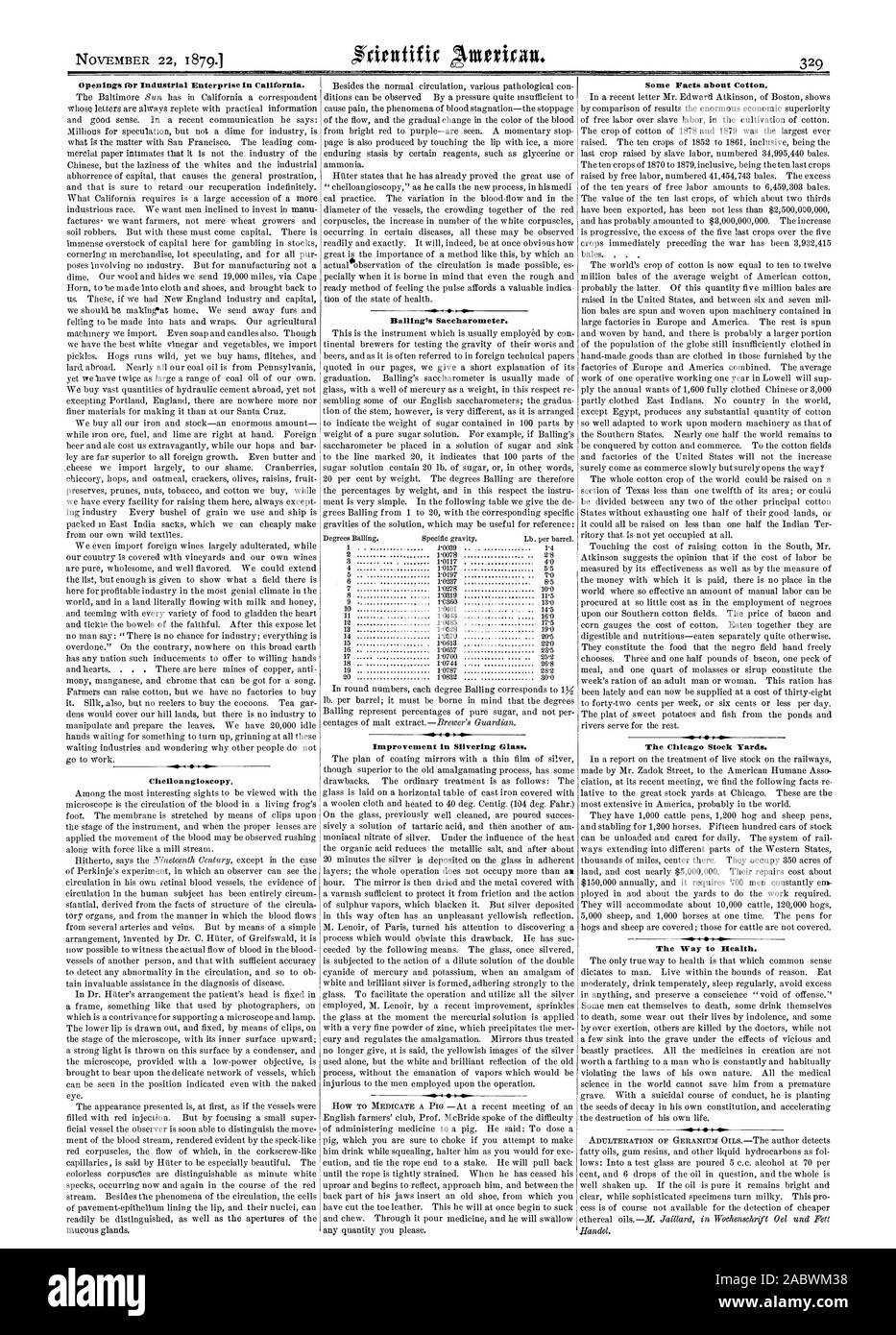 N the way Cut Out Stock Images & Pictures - Alamy