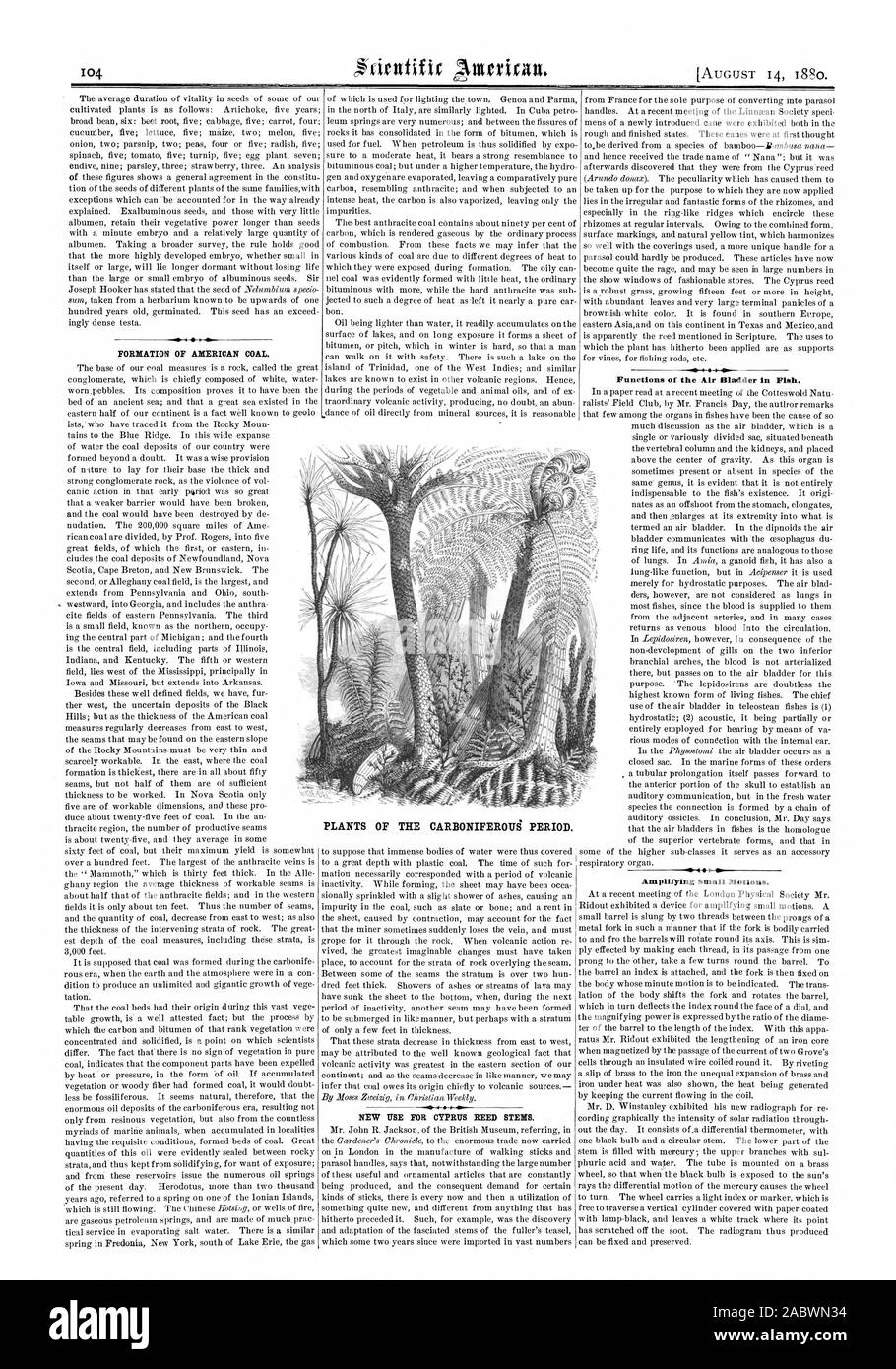 4 small fish Black and White Stock Photos & Images - Alamy