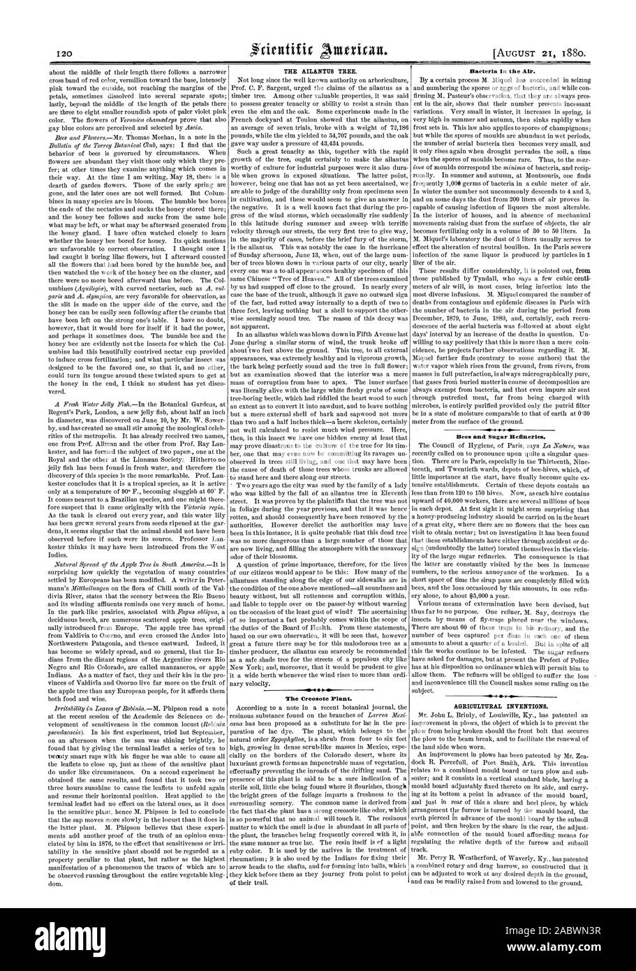 Creosote works hi-res stock photography and images - Alamy