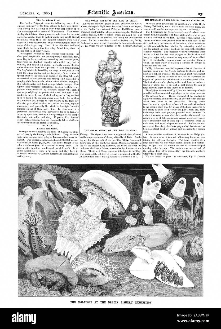 The Ferocious Frog. Alaska Seal Skins. THE CORAL SIGNET OF THE ICING OF ...