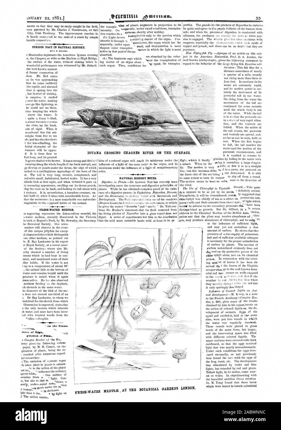 55 water Cut Out Stock Images & Pictures - Alamy