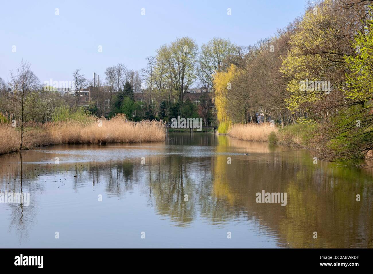 Pond At The Frankendael Park In Spring Amsterdam The Netherlands 2019 ...
