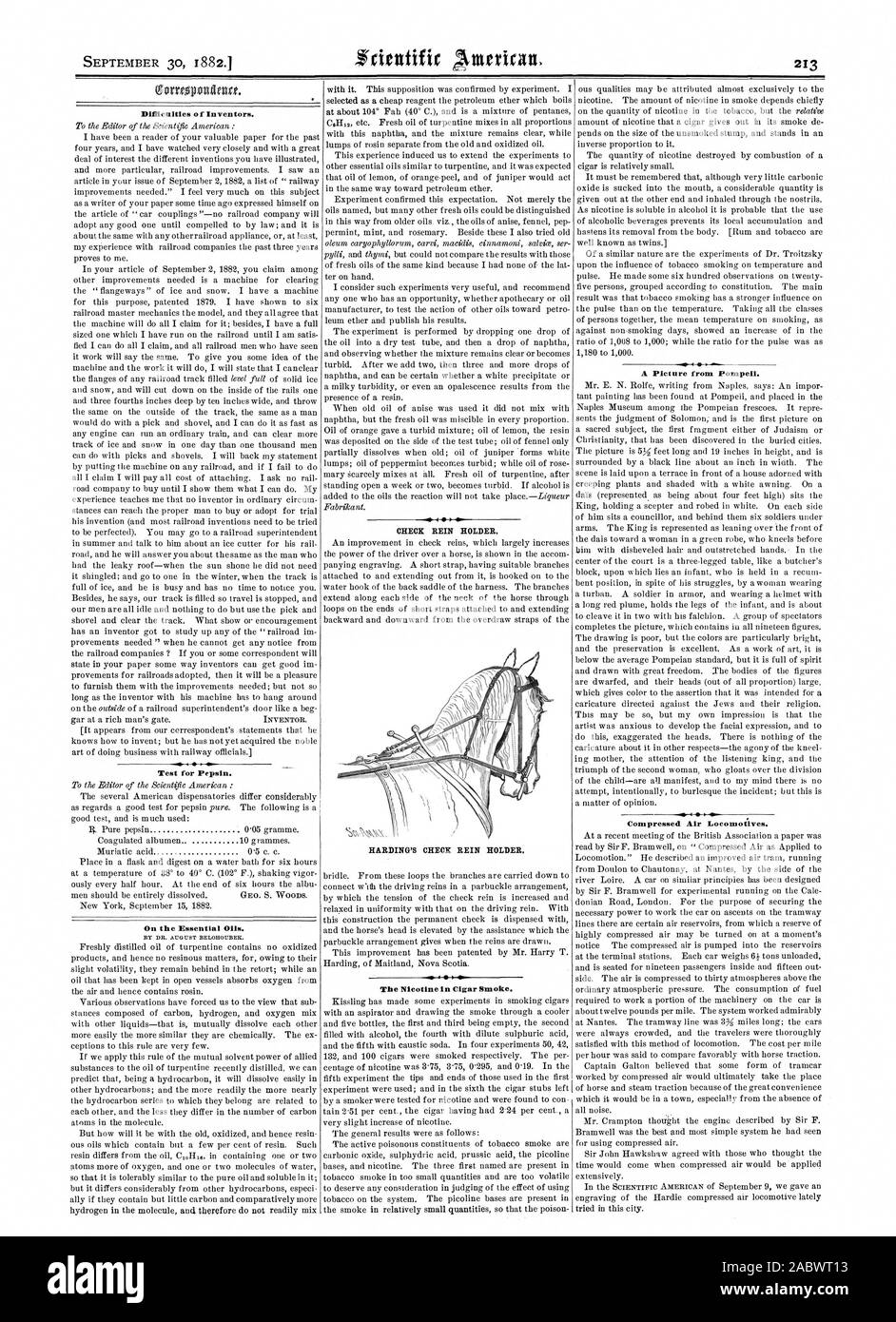 Check rein holder hi-res stock photography and images - Alamy